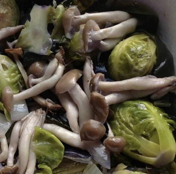 Mobility Mary | Wikitubia | Fandom