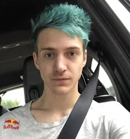 Ninja | Wikitubia | Fandom