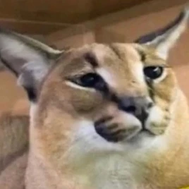 hecker | Wikitubia | Fandom