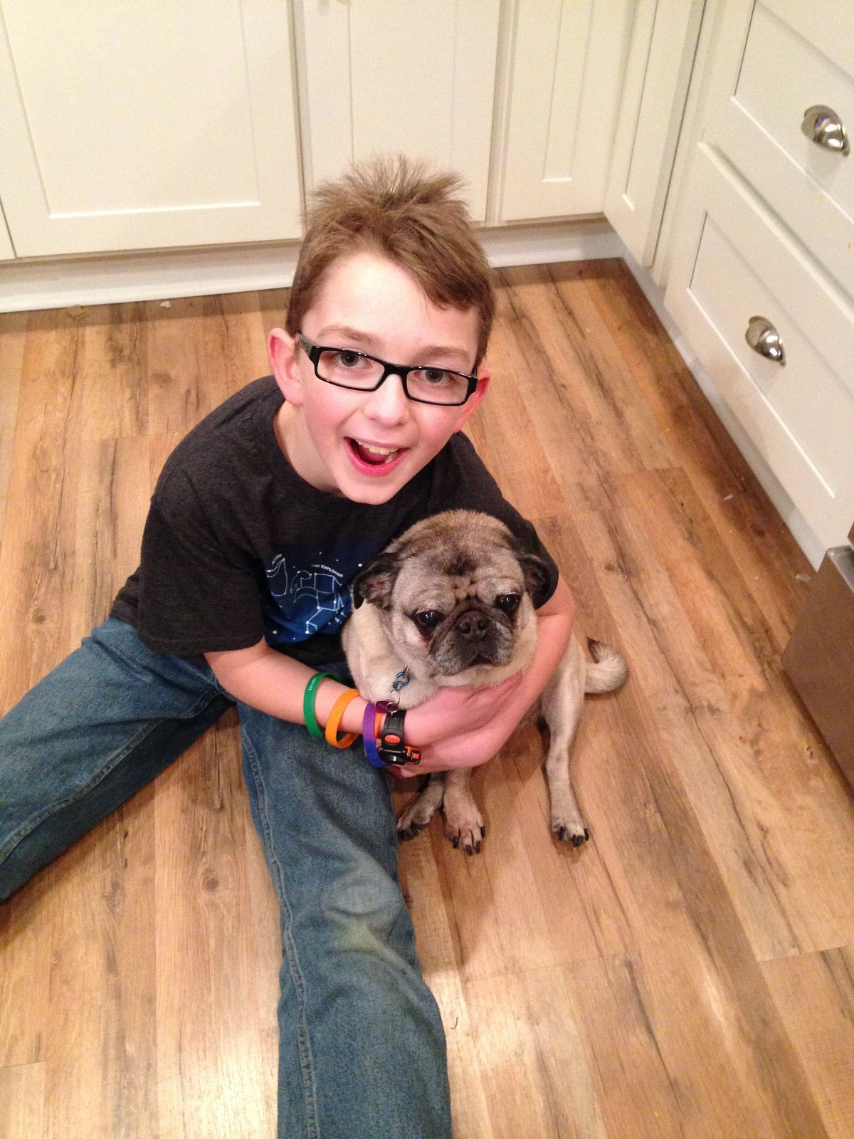 Da Pug | Wikitubia | Fandom