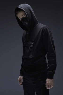 Alan Walker | Wiki YouTube Pedia | Fandom