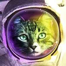 Axl Kss | Wiki YouTube Pedia | Fandom