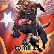 Tomiii 11 | Wiki YouTube Pedia | Fandom