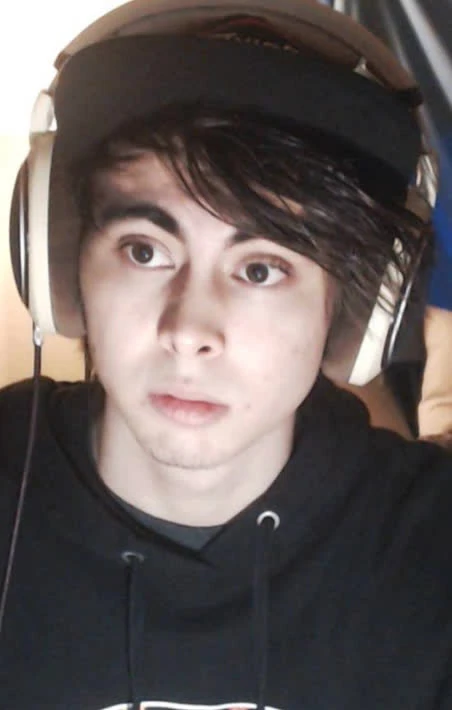 LeafyIsHere | Wiki YouTube Pedia | Fandom
