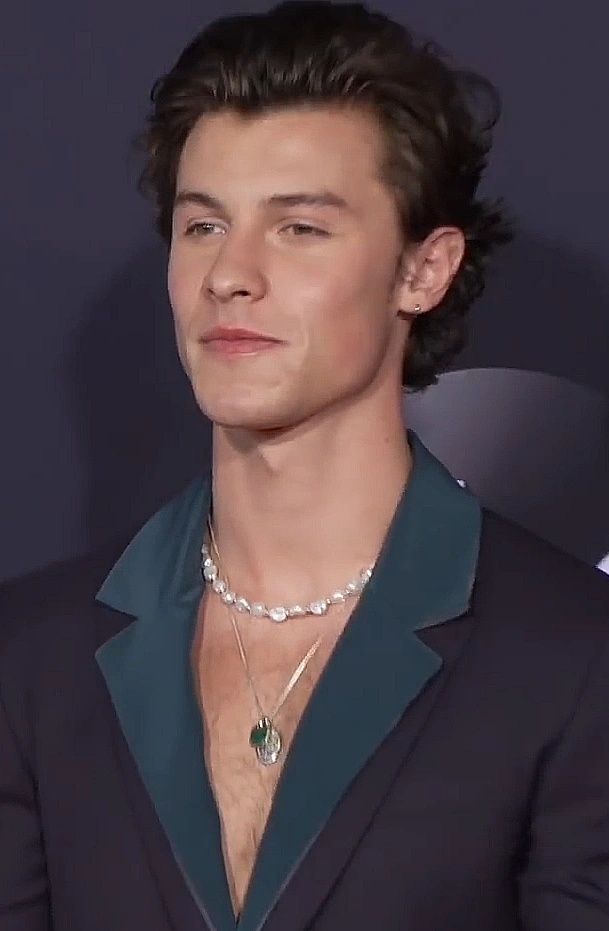 Shawn Mendes | Wiki YouTube Pedia | Fandom