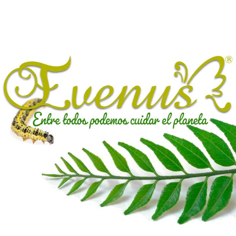 Evenus Planet | Wiki YouTube Pedia | Fandom