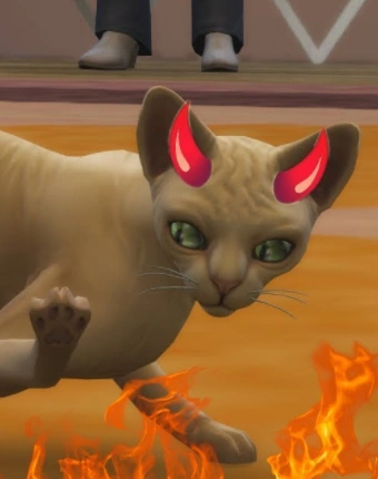 Demonetization Icon Cat | YouTuber Reality Wikia | Fandom