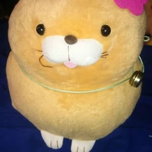 Paulok | Wikia YouTube Francophone | Fandom