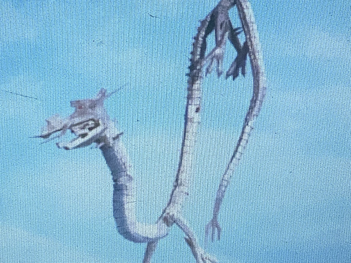 Narse | Youtubescratch Wiki | Fandom