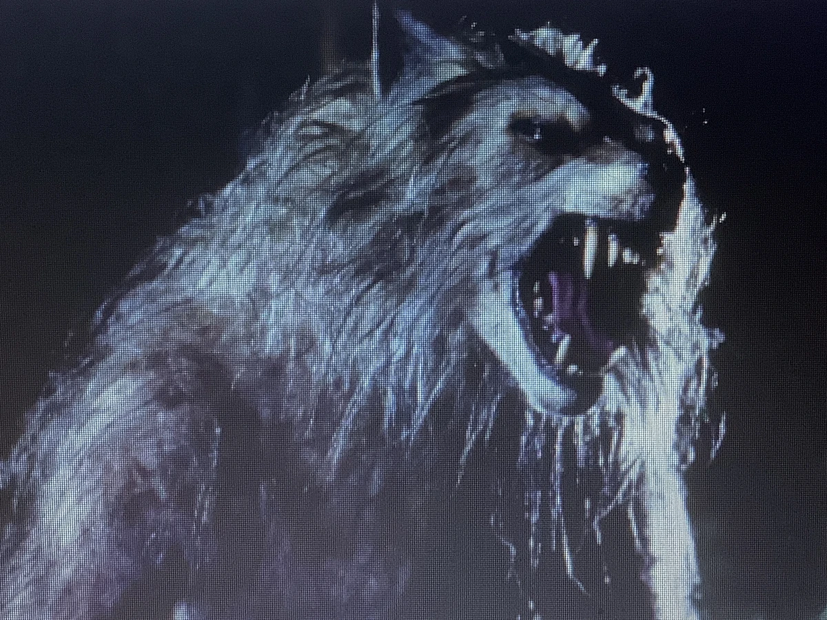 Ted Wolf | Youtubescratch Wiki | Fandom