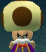 Toadsworth | Youtubescratch Wiki | Fandom