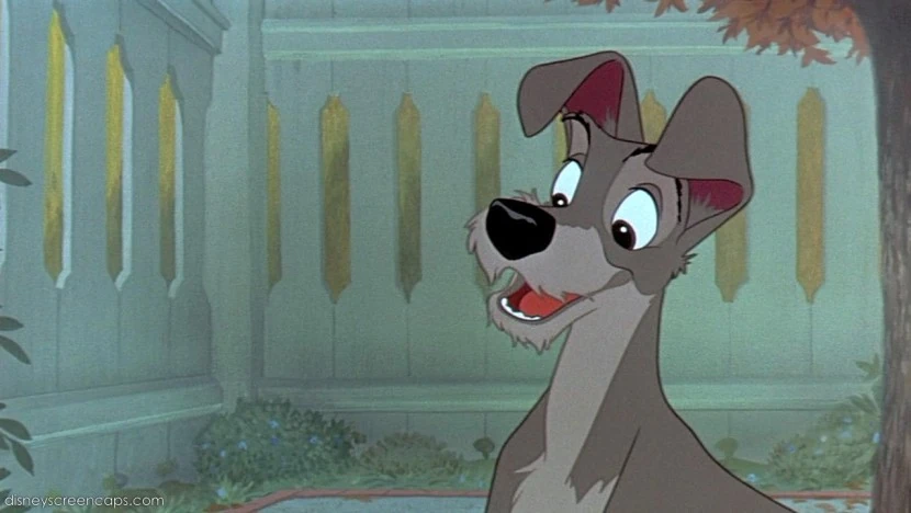 Tramp | Youtubescratch Wiki | Fandom