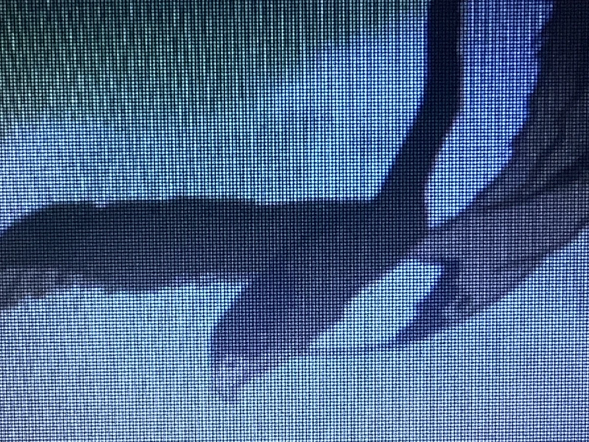 Hawk (Heidi's Song) | Youtubescratch Wiki | Fandom