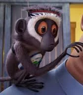 Steve the Monkey | Youtubescratch Wiki | Fandom