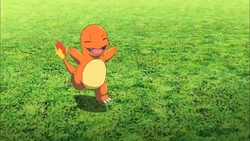 Charmander | Youtubescratch Wiki | Fandom