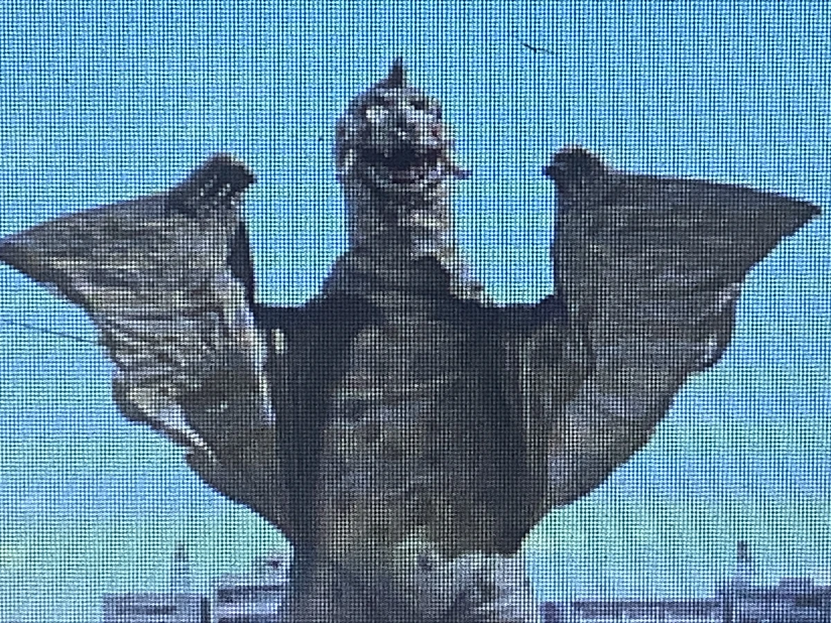 Peguila | Youtubescratch Wiki | Fandom