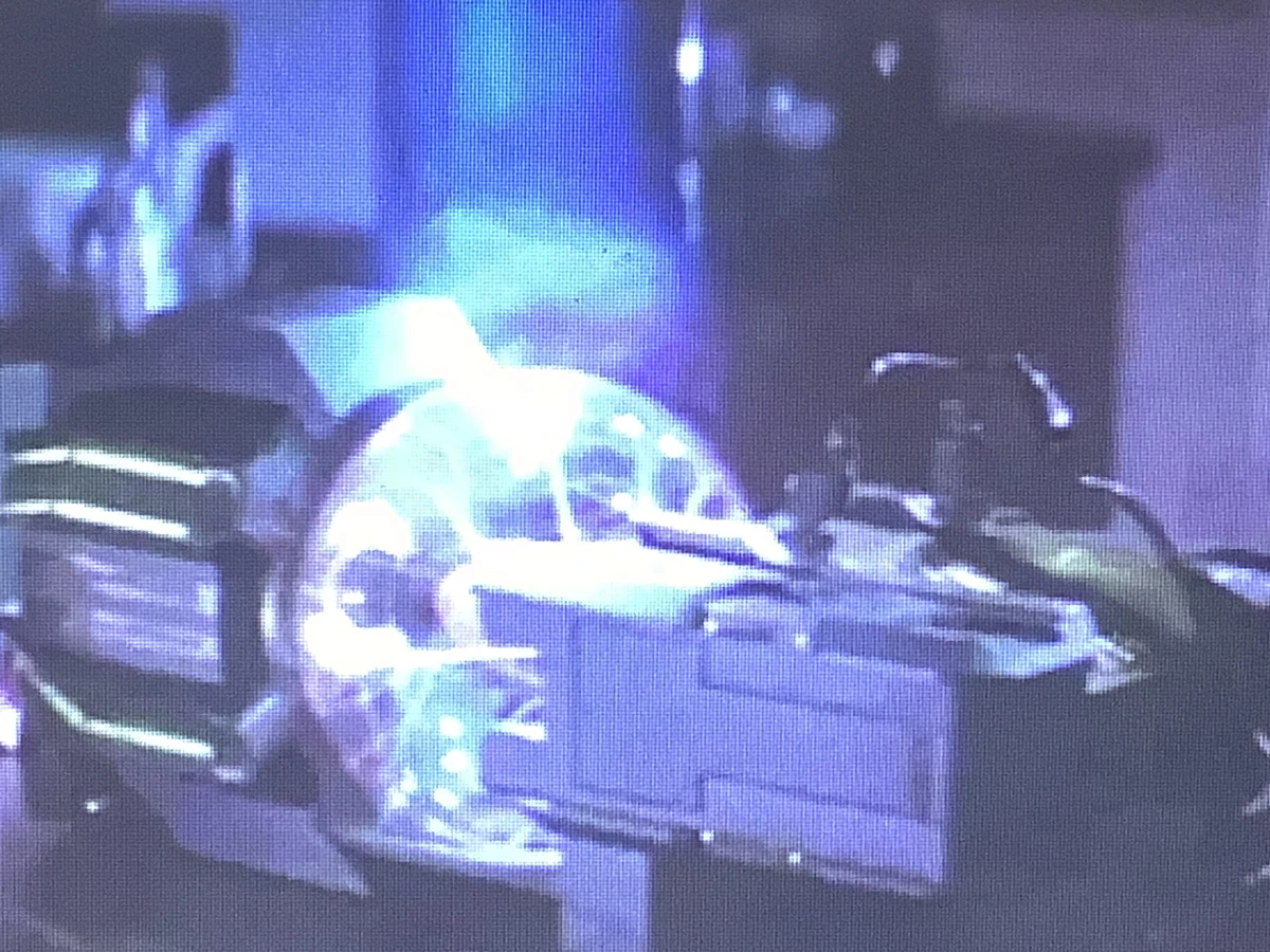 Gizmo (My Science Project) | Youtubescratch Wiki | Fandom