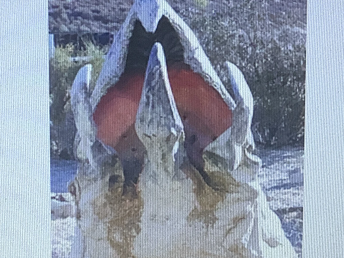 Graboids | Youtubescratch Wiki | Fandom