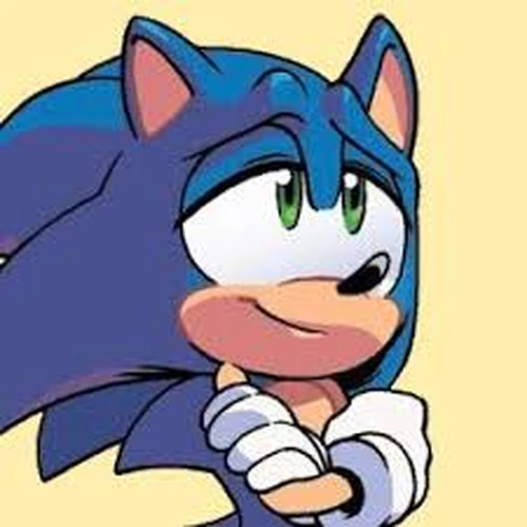 Sonic the Hedgehog | Youtubescratch Wiki | Fandom