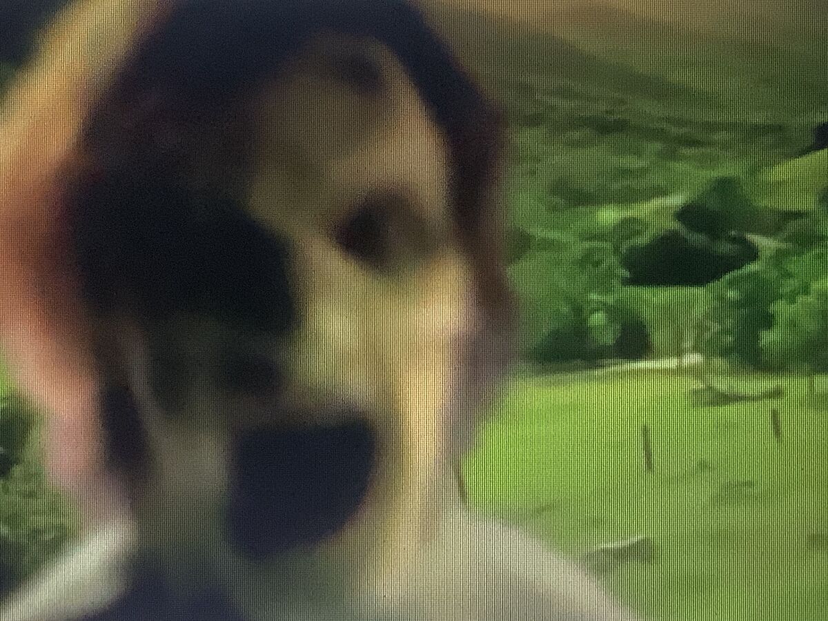 Zombie Youtubescratch Wiki Fandom
