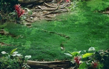 Crash Landing Site DJ2018 | YoWorld Wiki | Fandom