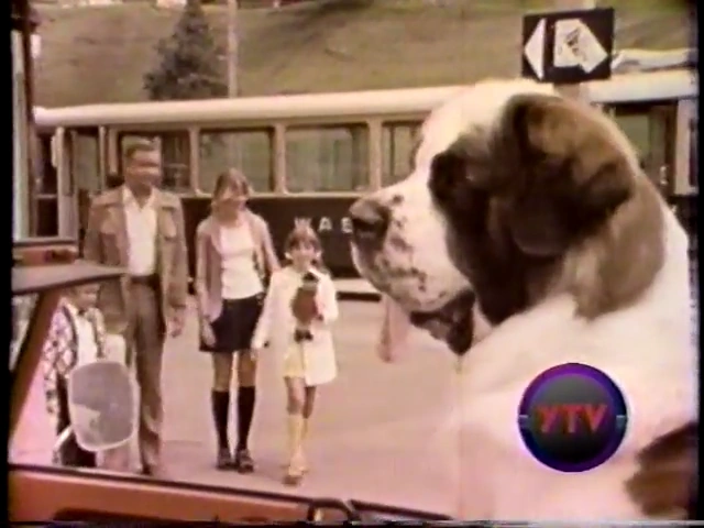 June 4, 1989 | YTV Schedule Archives Wiki | Fandom