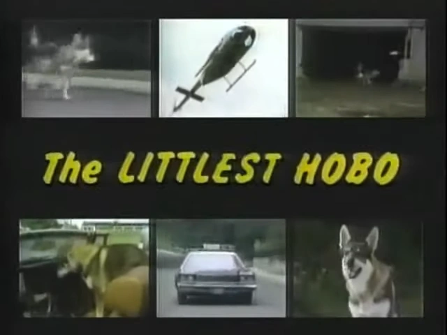 The Littlest Hobo | YTV Schedule Archives Wiki | Fandom