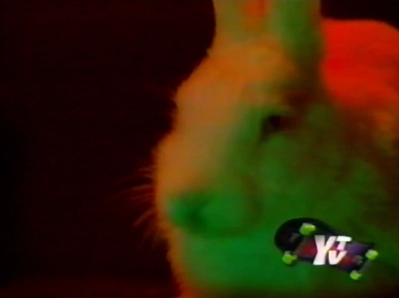 June 24, 1997 | YTV Schedule Archives Wiki | Fandom