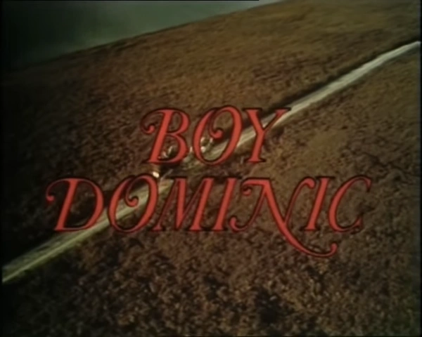 Boy Dominic | YTV Schedule Archives Wiki | Fandom