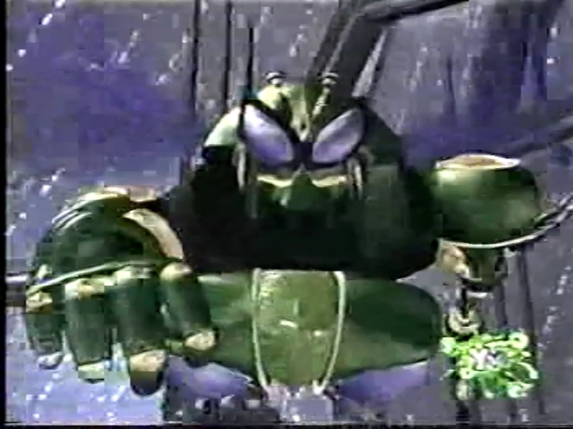 July 5, 2005 | YTV Schedule Archives Wiki | Fandom