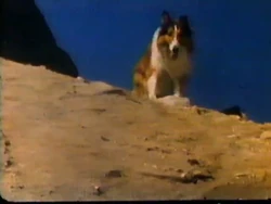 December 9, 1990 | YTV Schedule Archives Wiki | Fandom