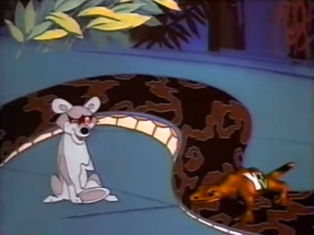 December 26, 1997 | YTV Schedule Archives Wiki | Fandom