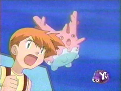 October 7, 2005 | YTV Schedule Archives Wiki | Fandom