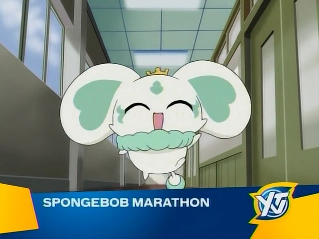 April 17, 2010 | YTV Schedule Archives Wiki | Fandom