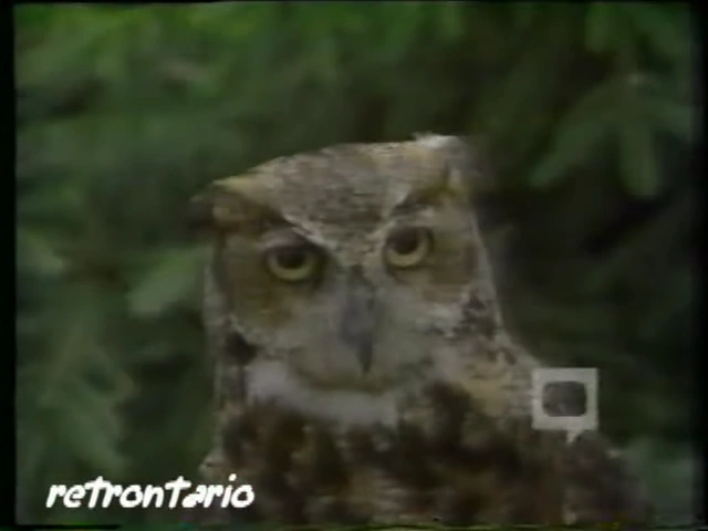 October 9, 1995 | YTV Schedule Archives Wiki | Fandom