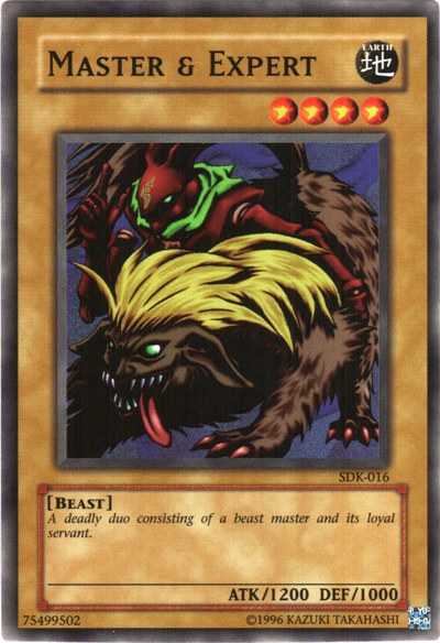 Master & Expert | Ю-Ги-О! TCG Wiki | Fandom