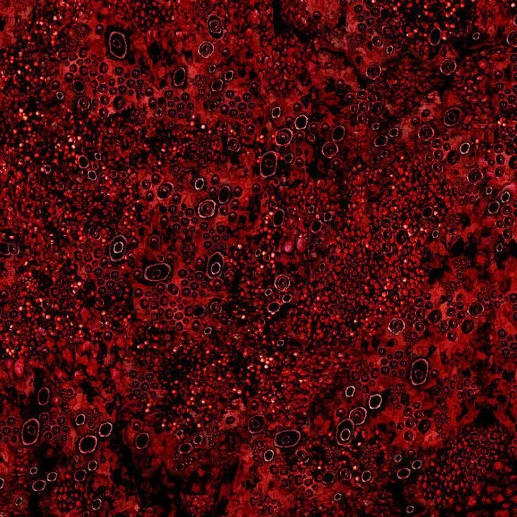 Compiled information | Yubin niiku Wiki | Fandom