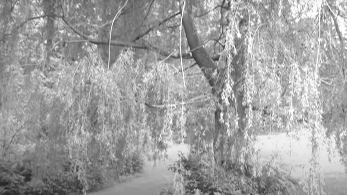 The Darkness | Yu-Gi-Oh! Devolution Wiki | Fandom