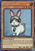 Card Gallery:Rescue Rabbit | Yu-Gi-Oh! Wiki | Fandom