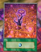 Card Gallery:Numeron Network | Yu-Gi-Oh! Wiki | Fandom