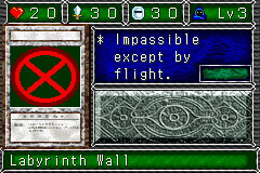 Labyrinth Wall (DDM) | Yu-Gi-Oh! Wiki | Fandom