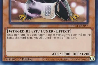 Mist Valley Shaman Art