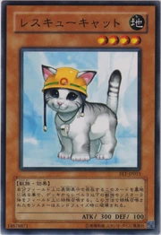 Card Errata:Rescue Cat | Yu-Gi-Oh! Wiki | Fandom