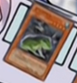 Card Gallery:Des Frog | Yu-Gi-Oh! Wiki | Fandom