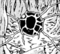 Forest Burst | Yu-Gi-Oh! Wiki | Fandom