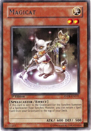 Magicat | Yu-Gi-Oh! Wiki | Fandom