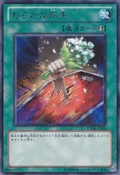 Card Gallery:Foolish Return | Yu-Gi-Oh! Wiki | Fandom