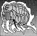 Giant Flea (manga) | Yu-Gi-Oh! Wiki | Fandom