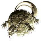 Card Gallery:Balloon Lizard | Yu-Gi-Oh! Wiki | Fandom