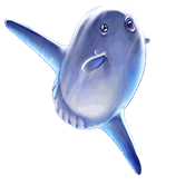 Card Gallery:Nimble Sunfish | Yu-Gi-Oh! Wiki | Fandom